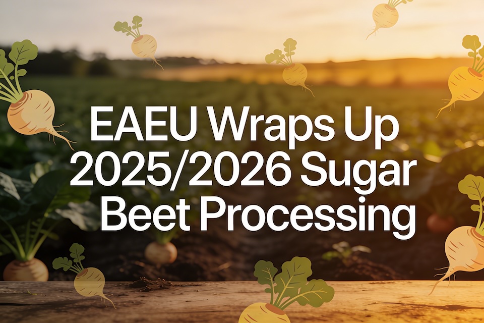 EAEU 2025/2026 Sugar Output Forecast: 7.25 Million Tonnes